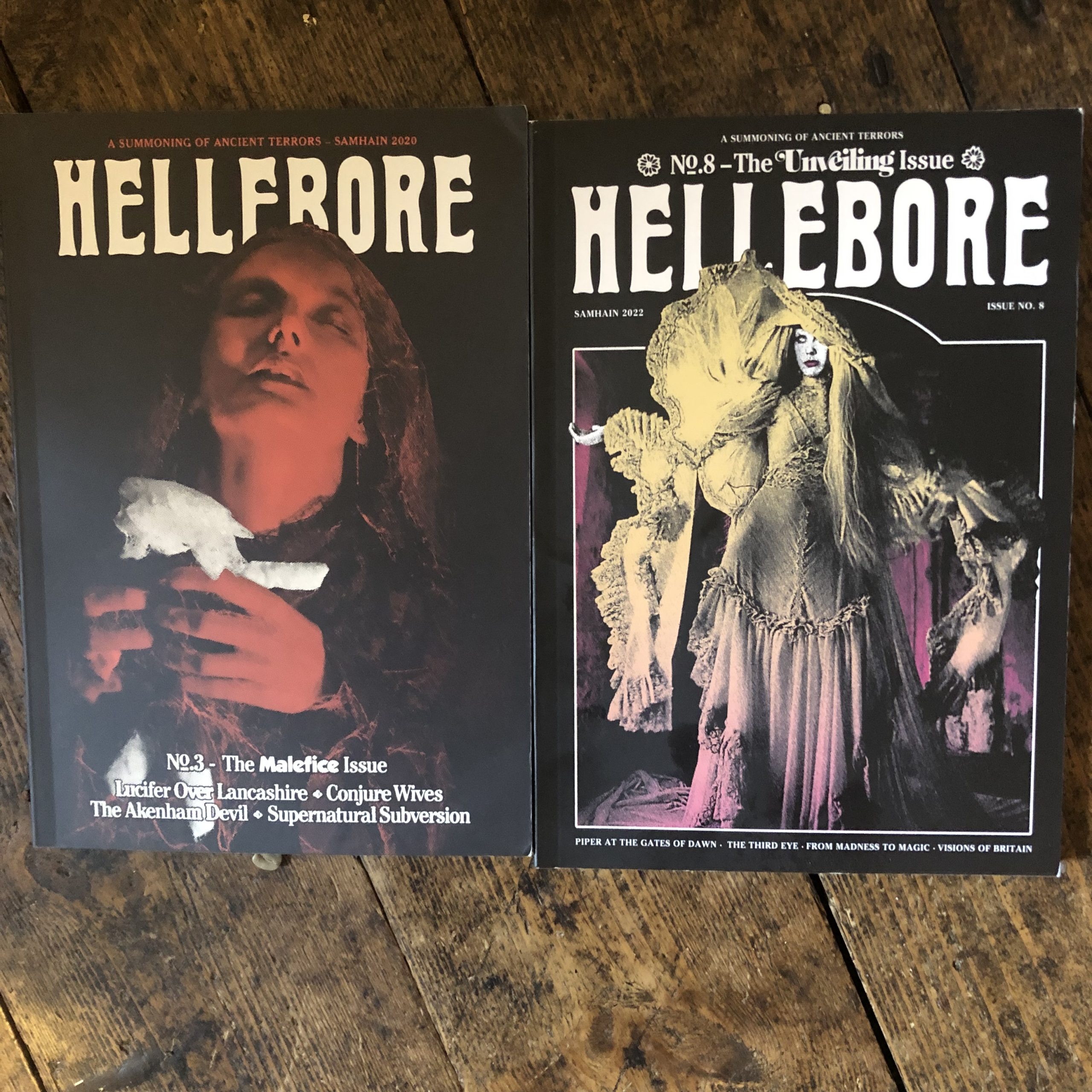 HELLEBORE Magazine – WARREN ELLIS LTD
