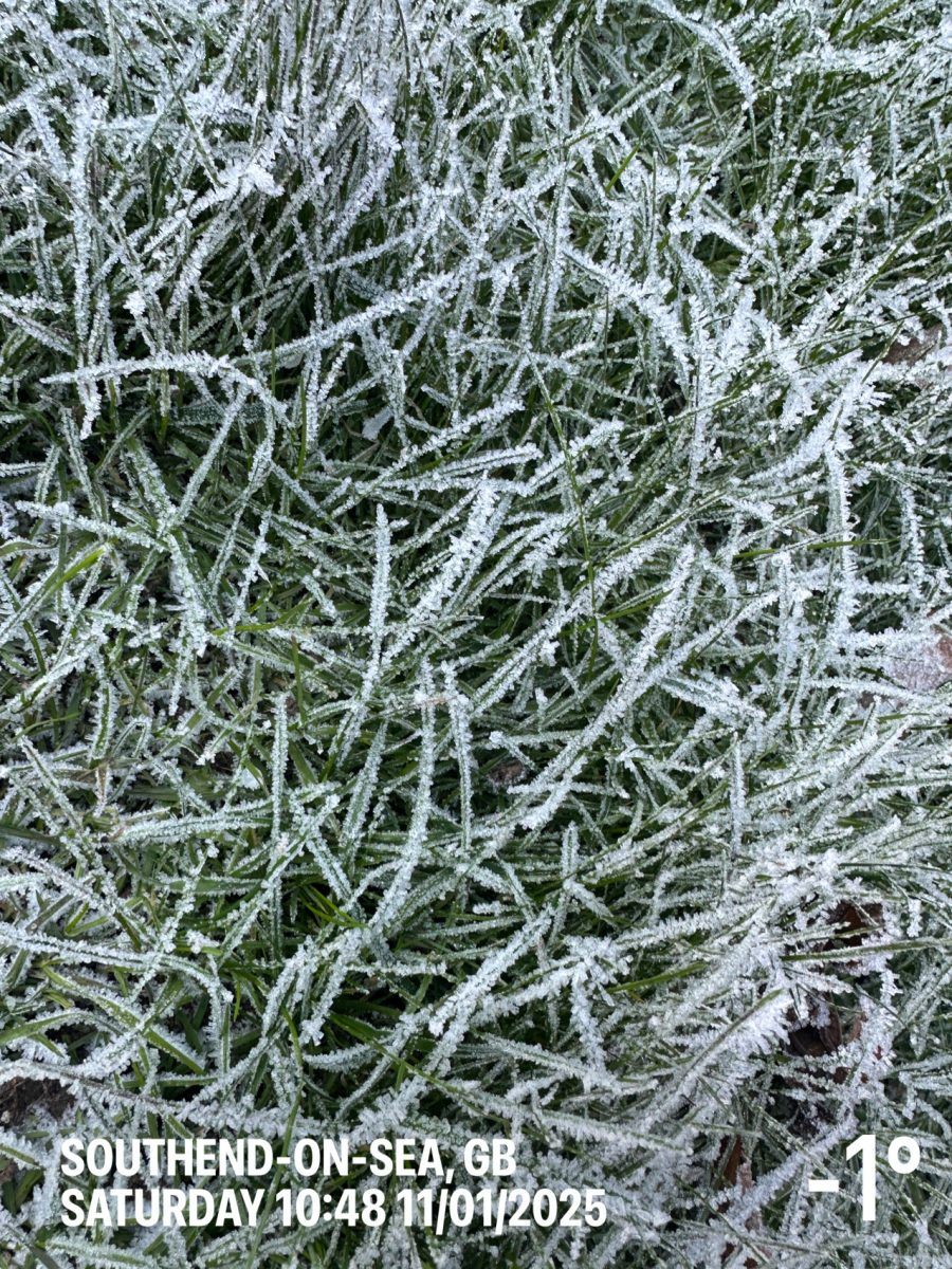 11jan25 – WARREN ELLIS LTD