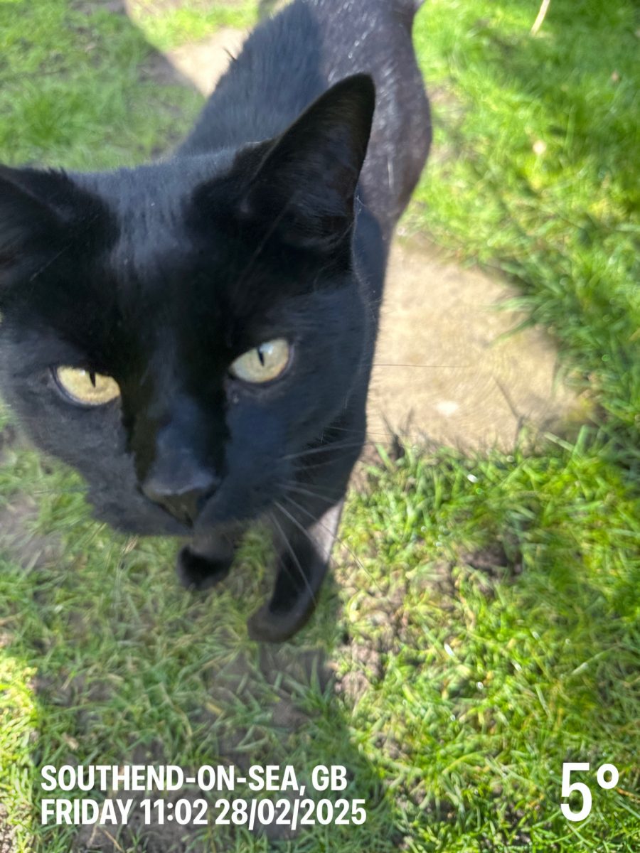 28feb25 – WARREN ELLIS LTD