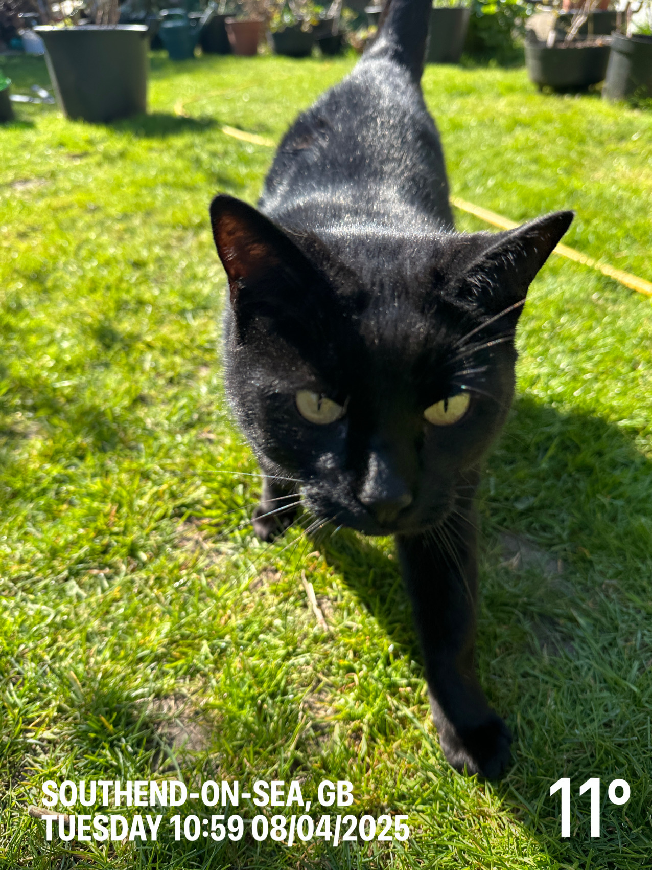 8apr25 – WARREN ELLIS LTD