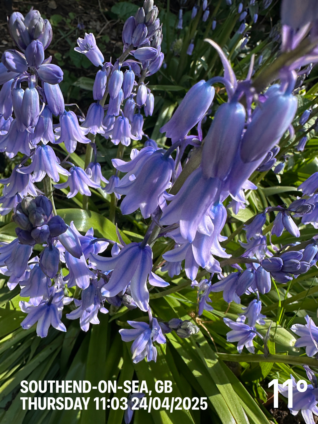 24apr25 – WARREN ELLIS LTD