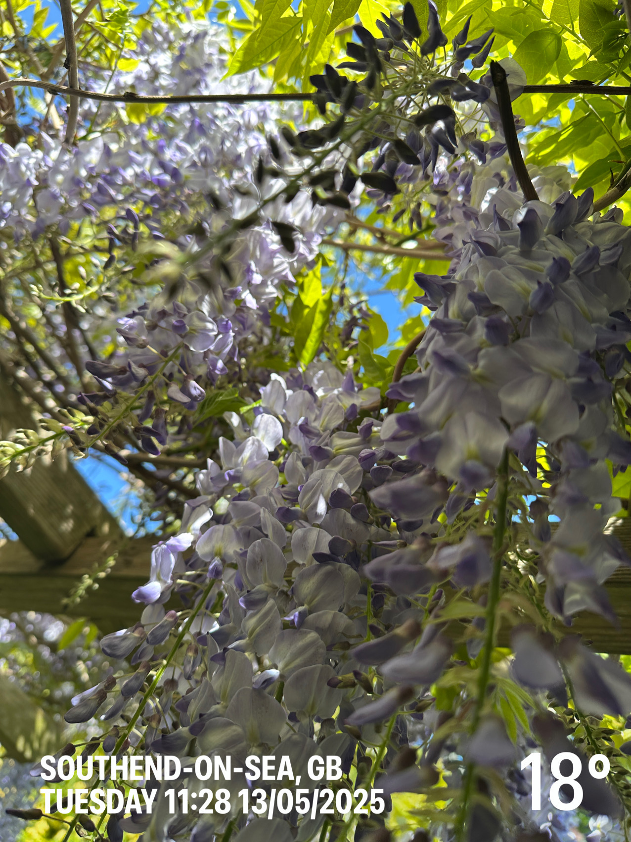 13may25 – WARREN ELLIS LTD