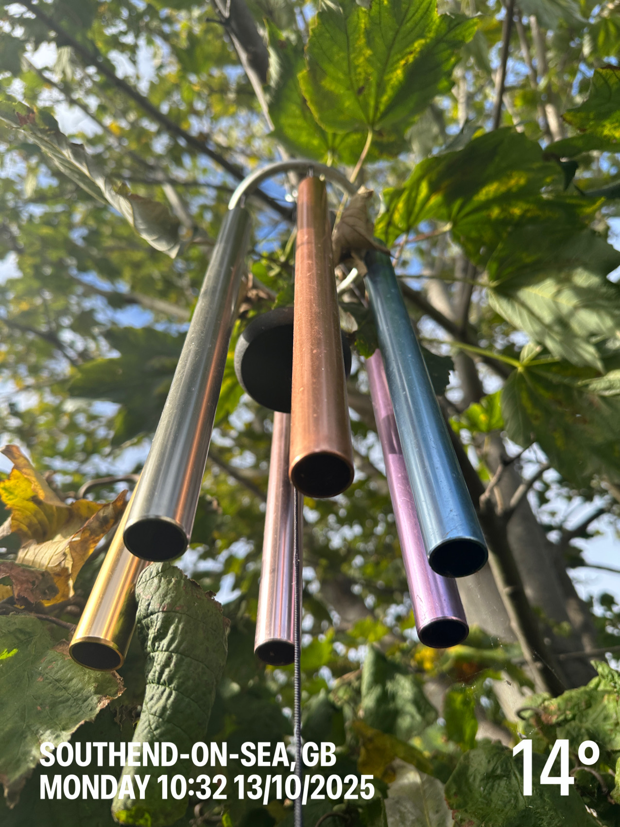 13oct25 – WARREN ELLIS LTD