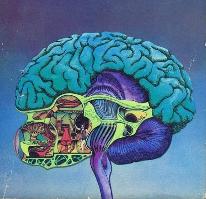 morning computer brain work – WARREN ELLIS LTD